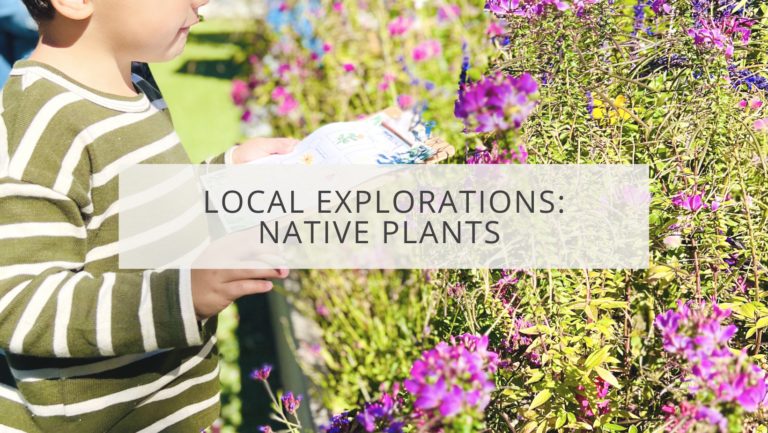 Local Explorations: Native Plants - Playful Learning Studio